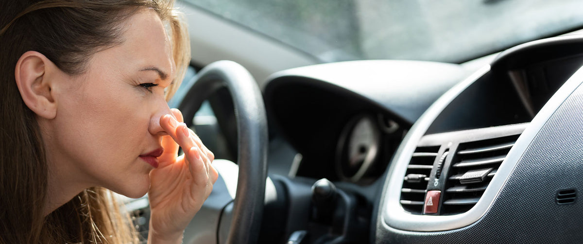 5 Tips for Smelly Used Cars – Dead Scent