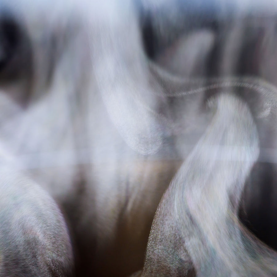 How to Get Rid of Smoke Smell in Your Car | Dead Scent