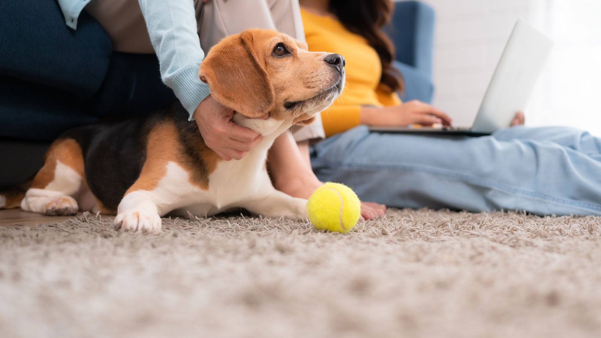 Ultimate Enzyme Spray – Dead Scent