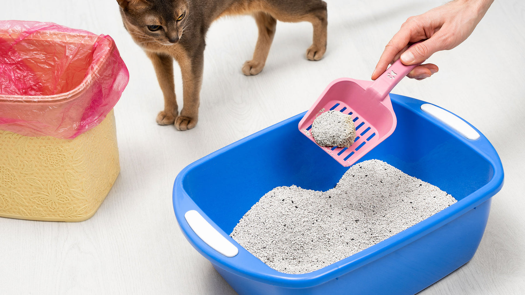 Ultimate Enzyme Spray – Dead Scent