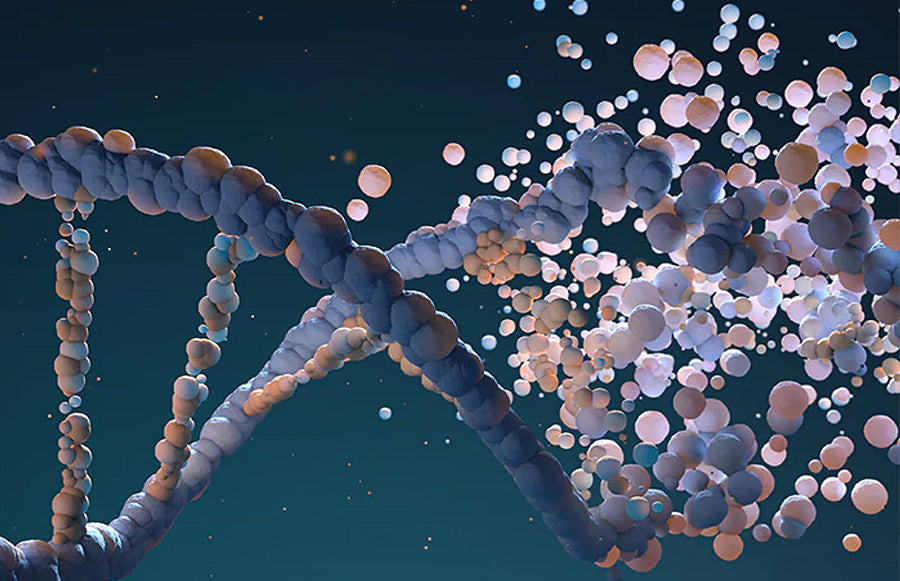 Ultimate Enzyme Spray – Dead Scent